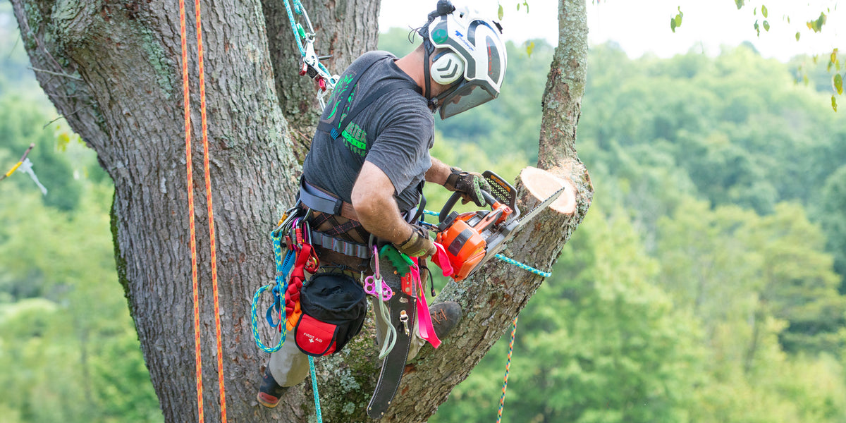 All Day Comfort – Weaver Arborist