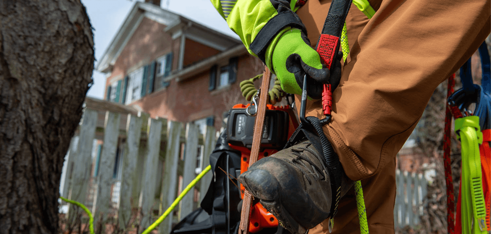 Weaver Arborist - The Ultimate Climbing Experience