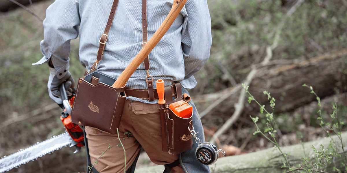 Weaver Arborist - The Ultimate Climbing Experience