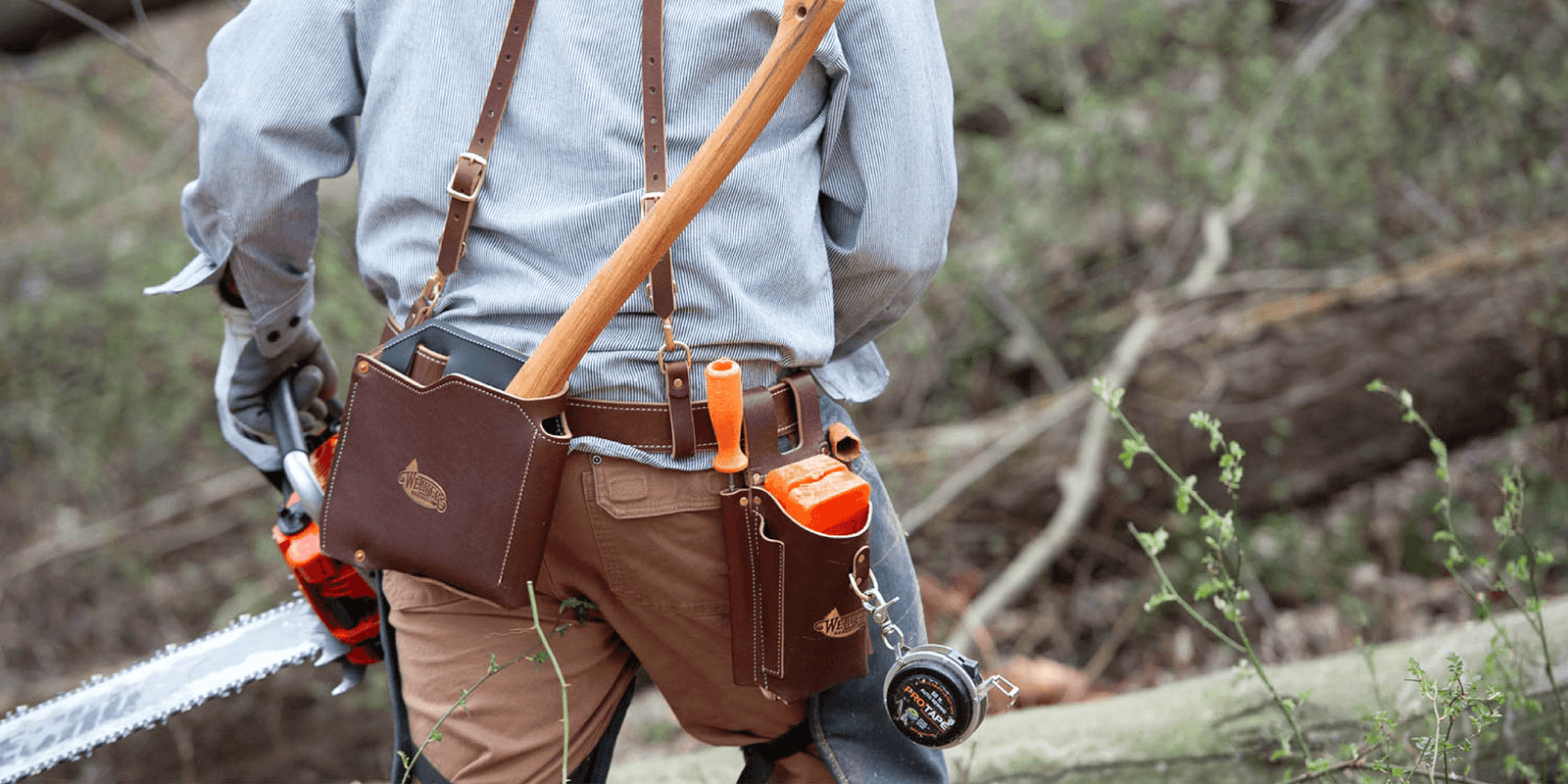 Weaver Arborist - The Ultimate Climbing Experience