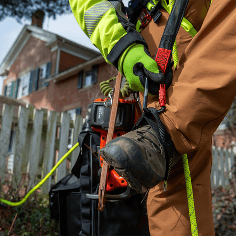 Weaver Arborist - The Ultimate Climbing Experience
