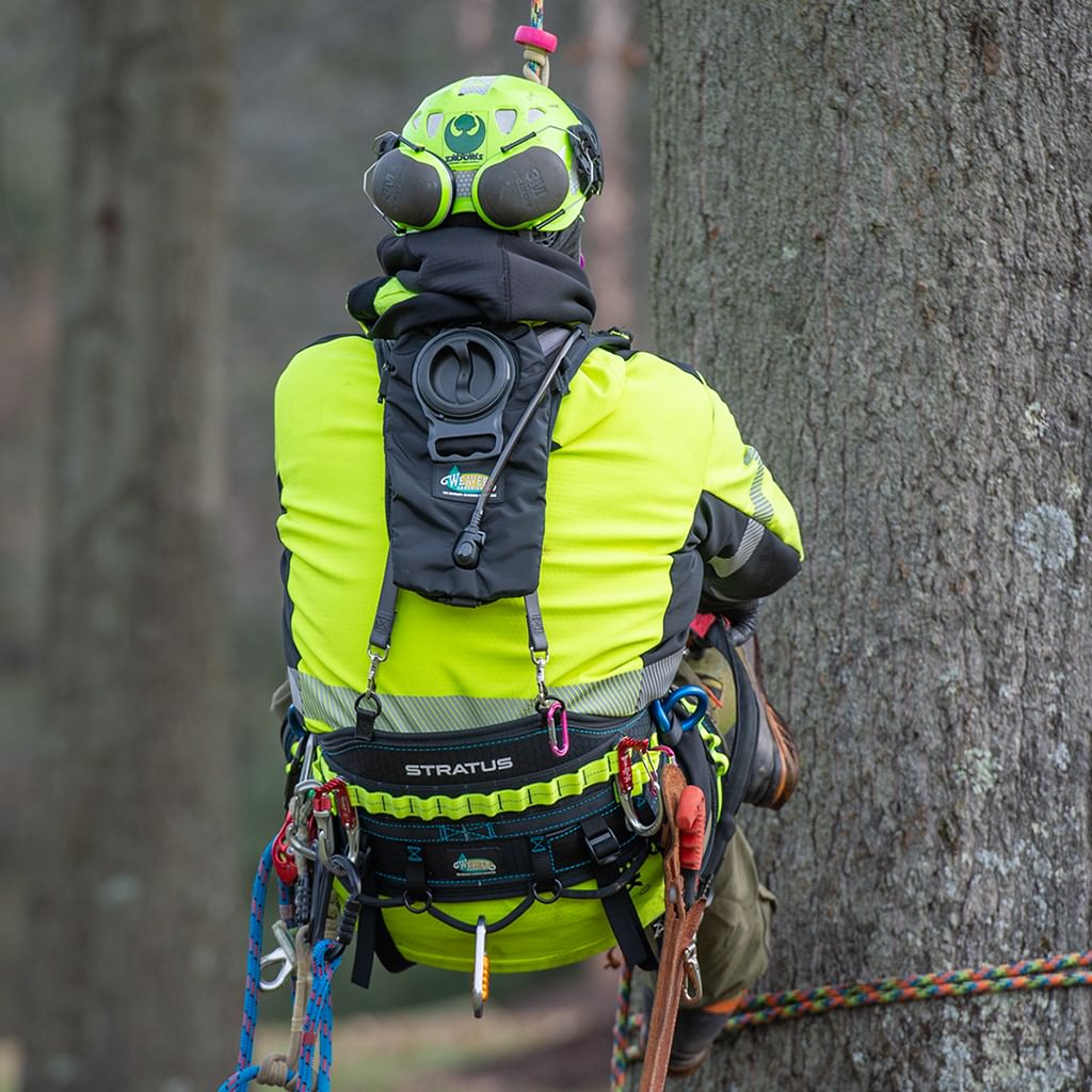 Weaver Arborist - The Ultimate Climbing Experience